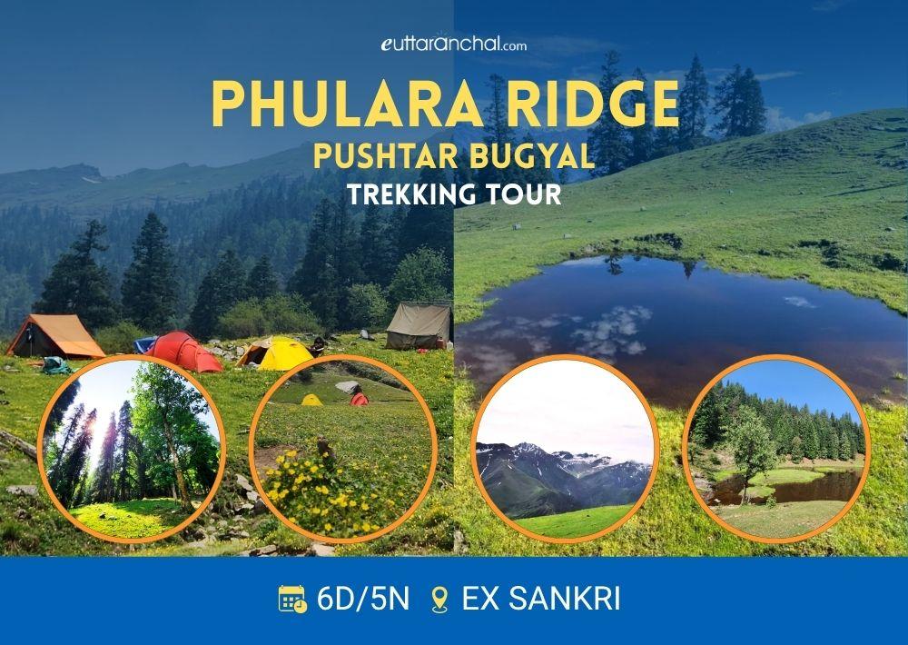 Best Phulara Ridge with Kedarkantha Trekking Package from Sankri