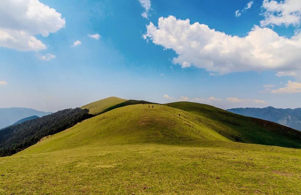 Ali Bugyal Trekking Guide - Ali Bedni Bugyal Trek Route, Itinerary ...