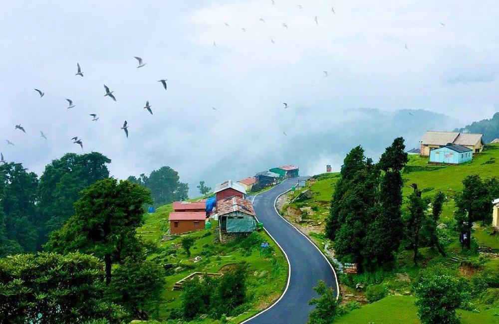Chopta Hill Station - Chopta Tourism Travel Guide, Trekking Tips