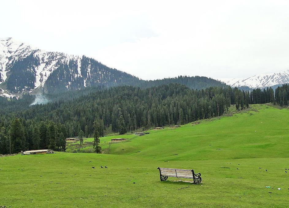 Doodhpathri Travel Guide - Explore Doodhpathri the Scenic Meadow of Kashmir