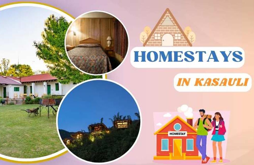 Best Homestays in Kasauli - Book Top Homestays in Kasauli Best Discount