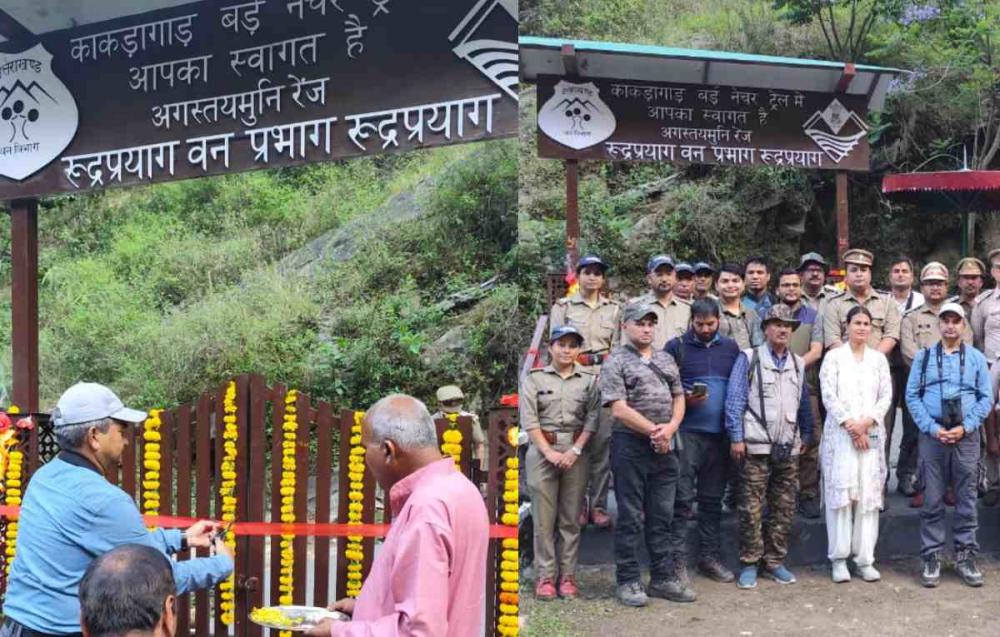 Kakdagaad Birding Guide - Bird Watching in Kakdagad near Augustmuni ...