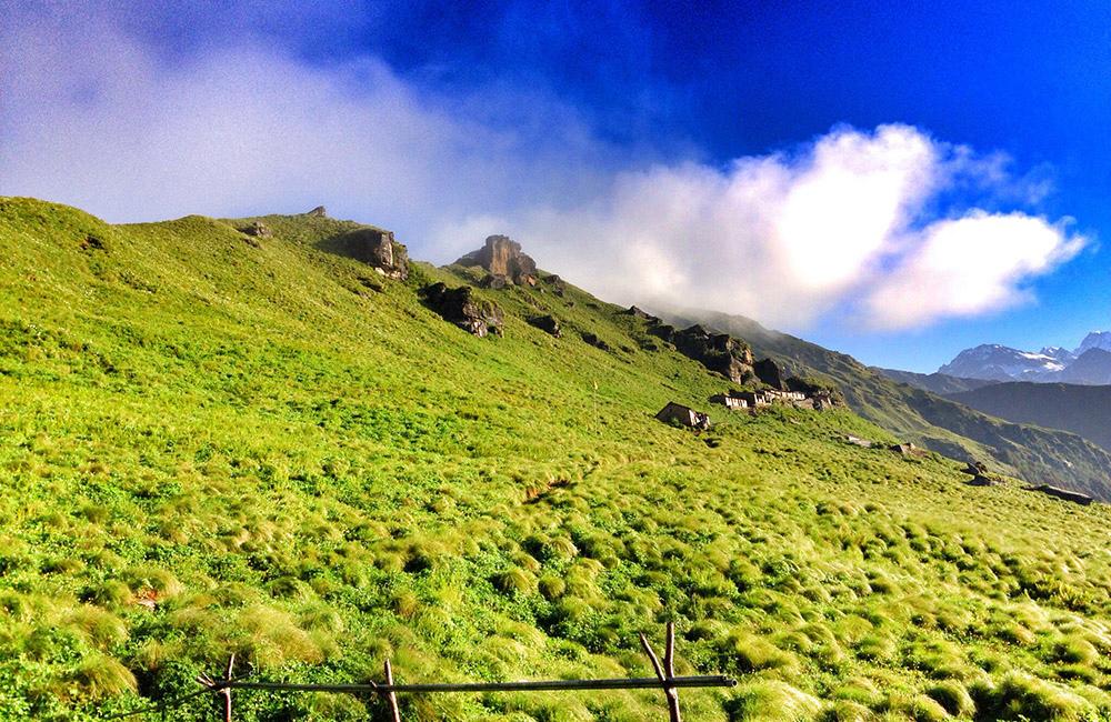 Rudranath 4 Nights Trekking Package - Best Rudranath Trek Tour from ...