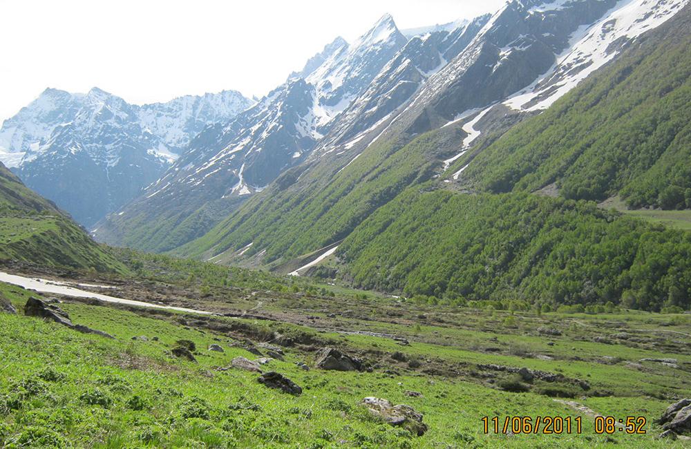 Valley Of Flowers ex-GovindGhat with Premium Stay at Ghangharia ...